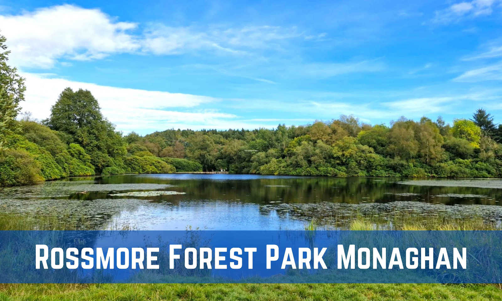Rossmore Park Monaghan Walking Guide - Silver Lakes Blue Trail
